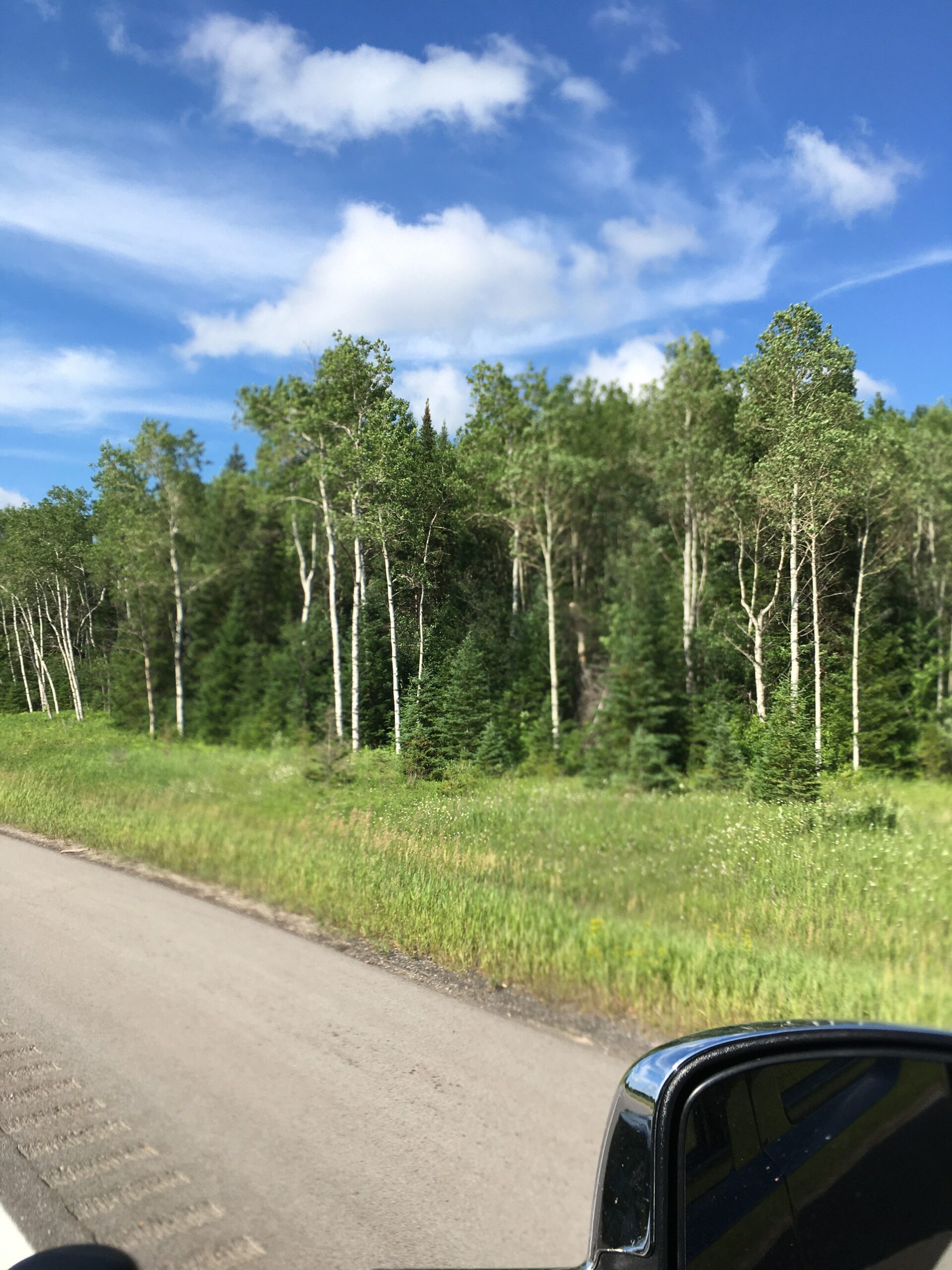 IMG_3745 – Kathi Waligora