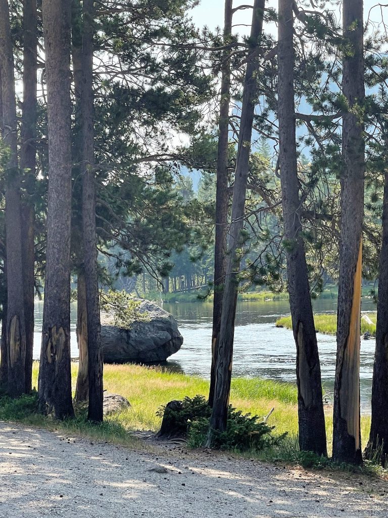 #21 Mi tse a-da-zi – Kathi Waligora