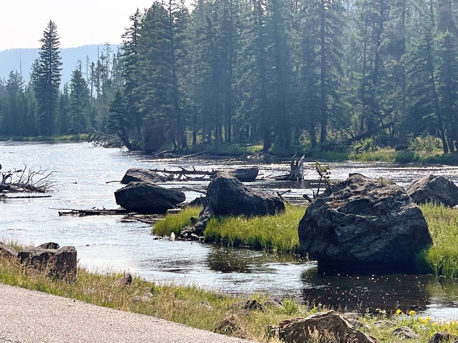 #21 Mi tse a-da-zi – Kathi Waligora