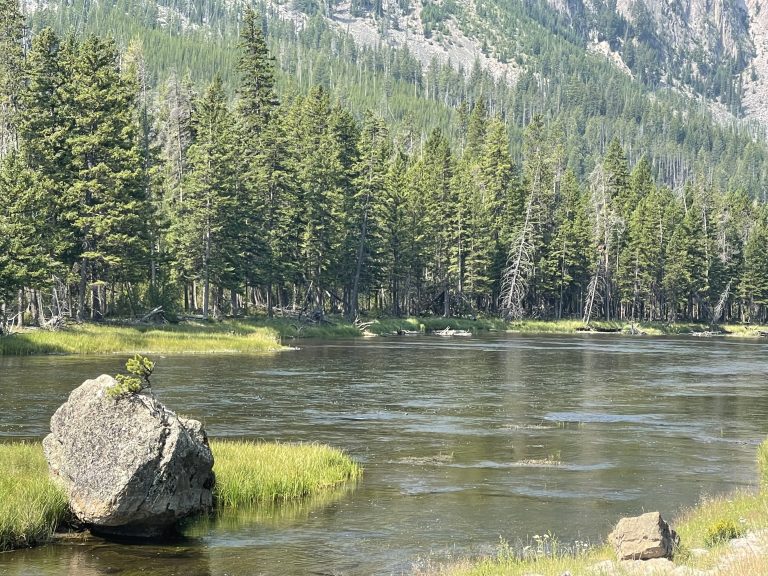 #21 Mi tse a-da-zi – Kathi Waligora